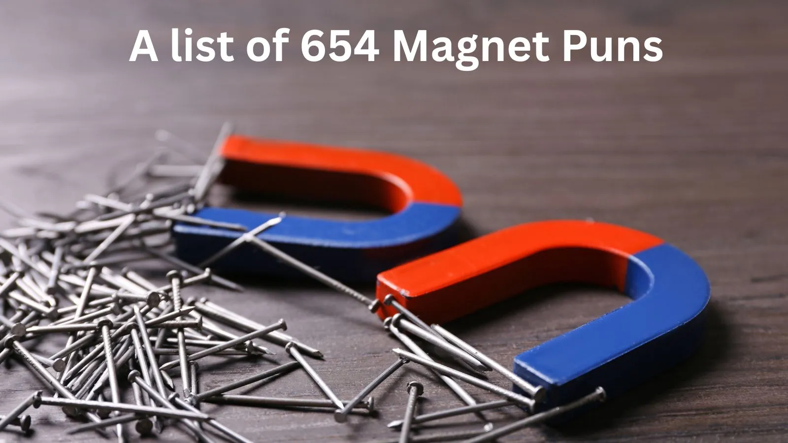 654+ Magnet Puns That Will Pull You In with for (2026)