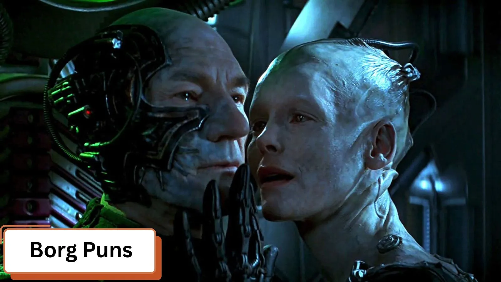 412 Hilarious Borg Puns To Make You Boldly Laugh 2025